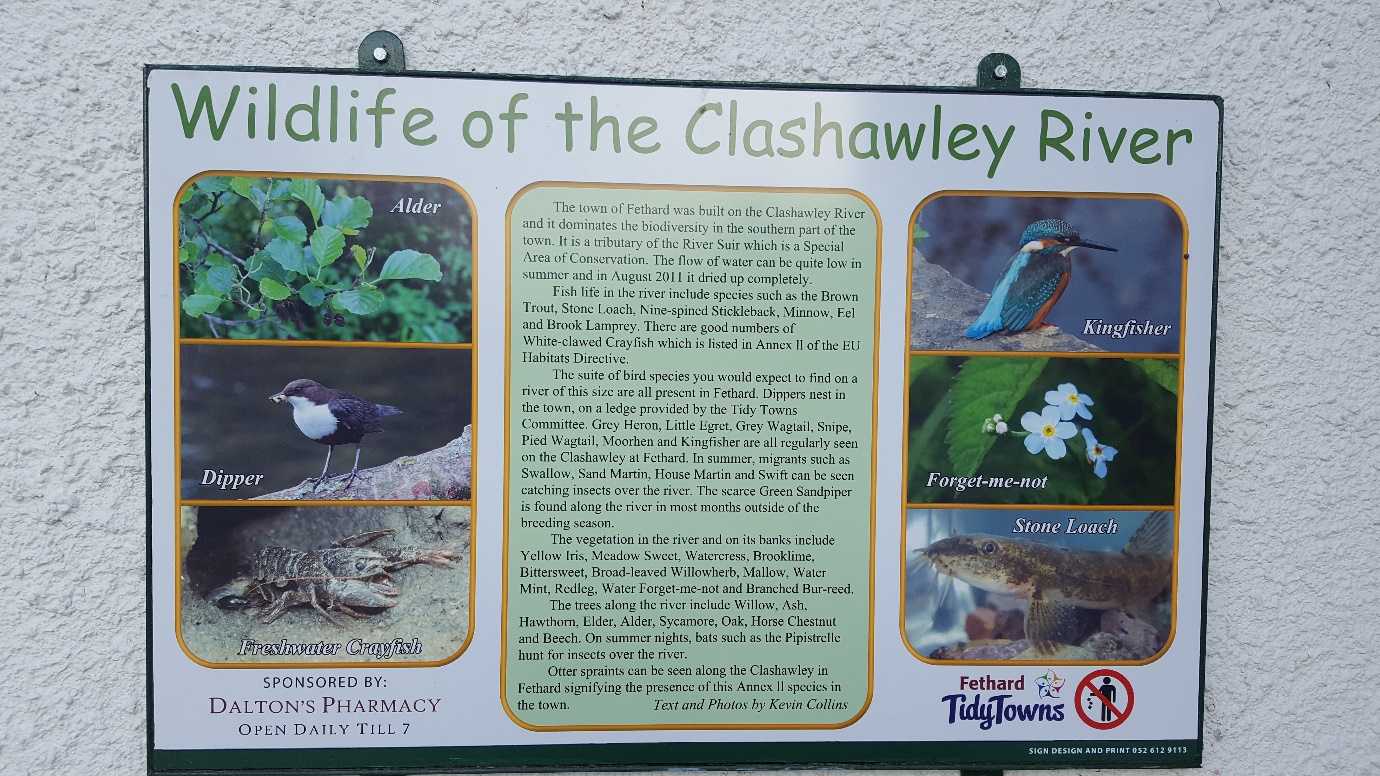 Biodiversity Signage at Fethard - communities working to create ...