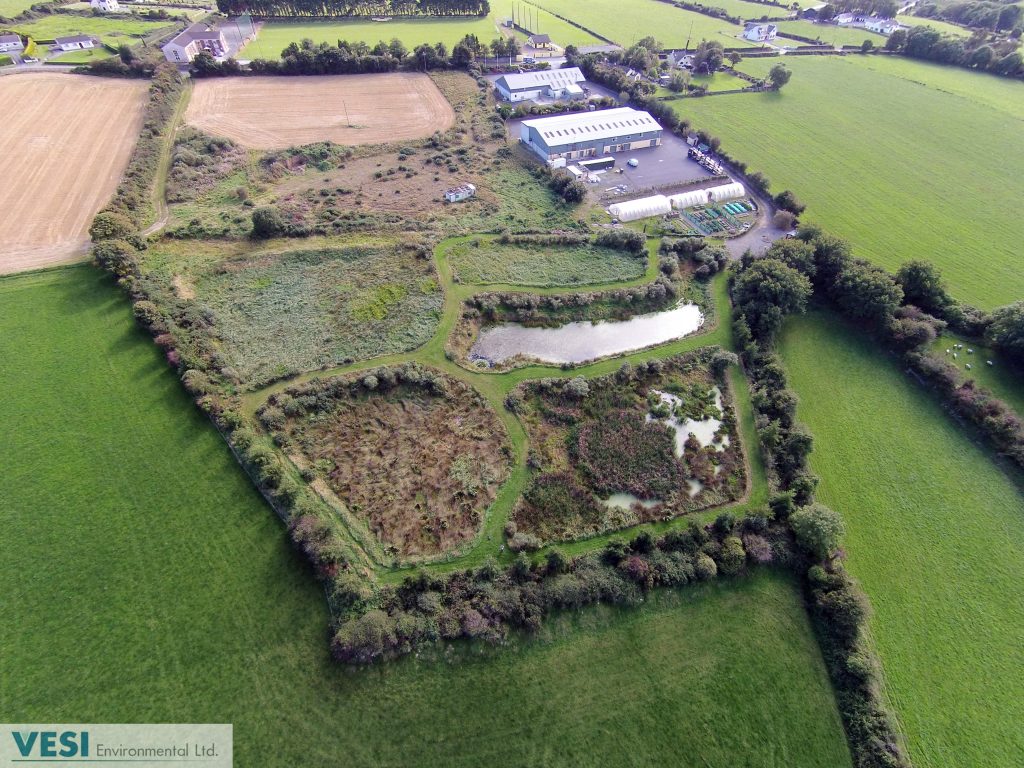 Integrated Contsructed Wetland at Eco-Park - Catchments.ie - Catchments.ie