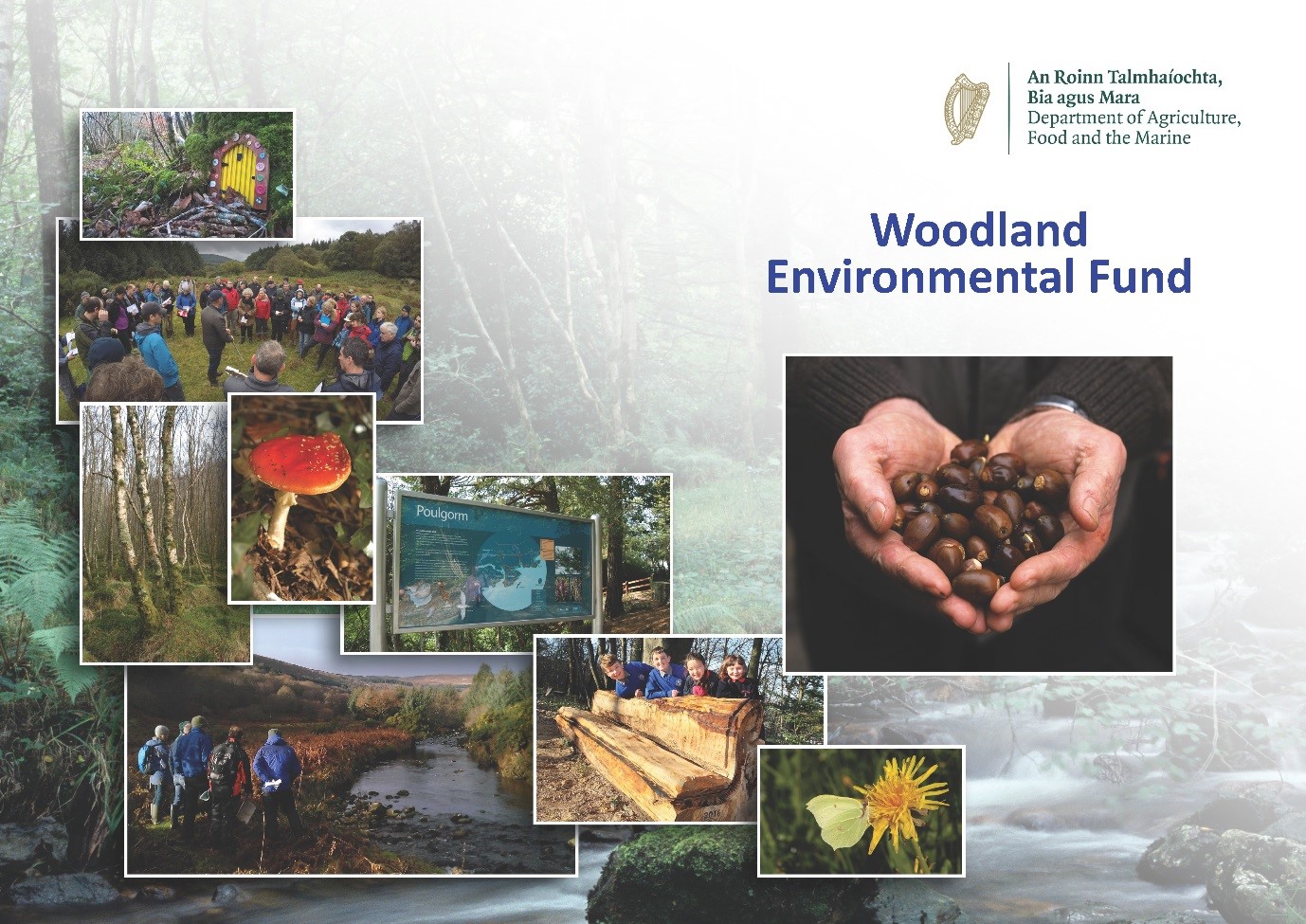 Ireland’s woodlands and forests: a renewed focus under the second cycle ...