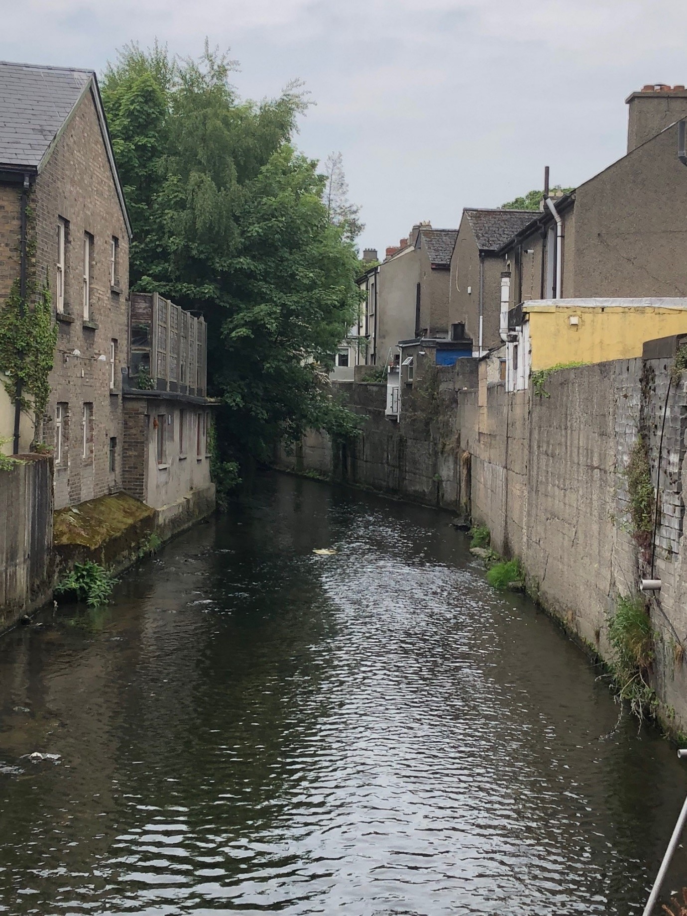 Dublin: The River Camac tells a story - Catchments.ie - Catchments.ie