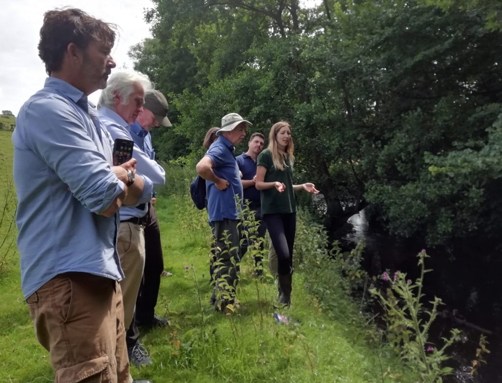 The growth of The Rivers Trust movement on the island of Ireland ...