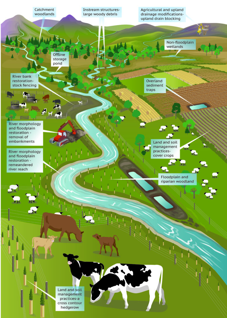 Natural Water Retention Measures – implementing the Flood Risk ...
