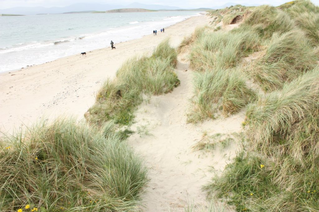 Sand Dunes: they protect us, lets protect them - Catchments.ie ...