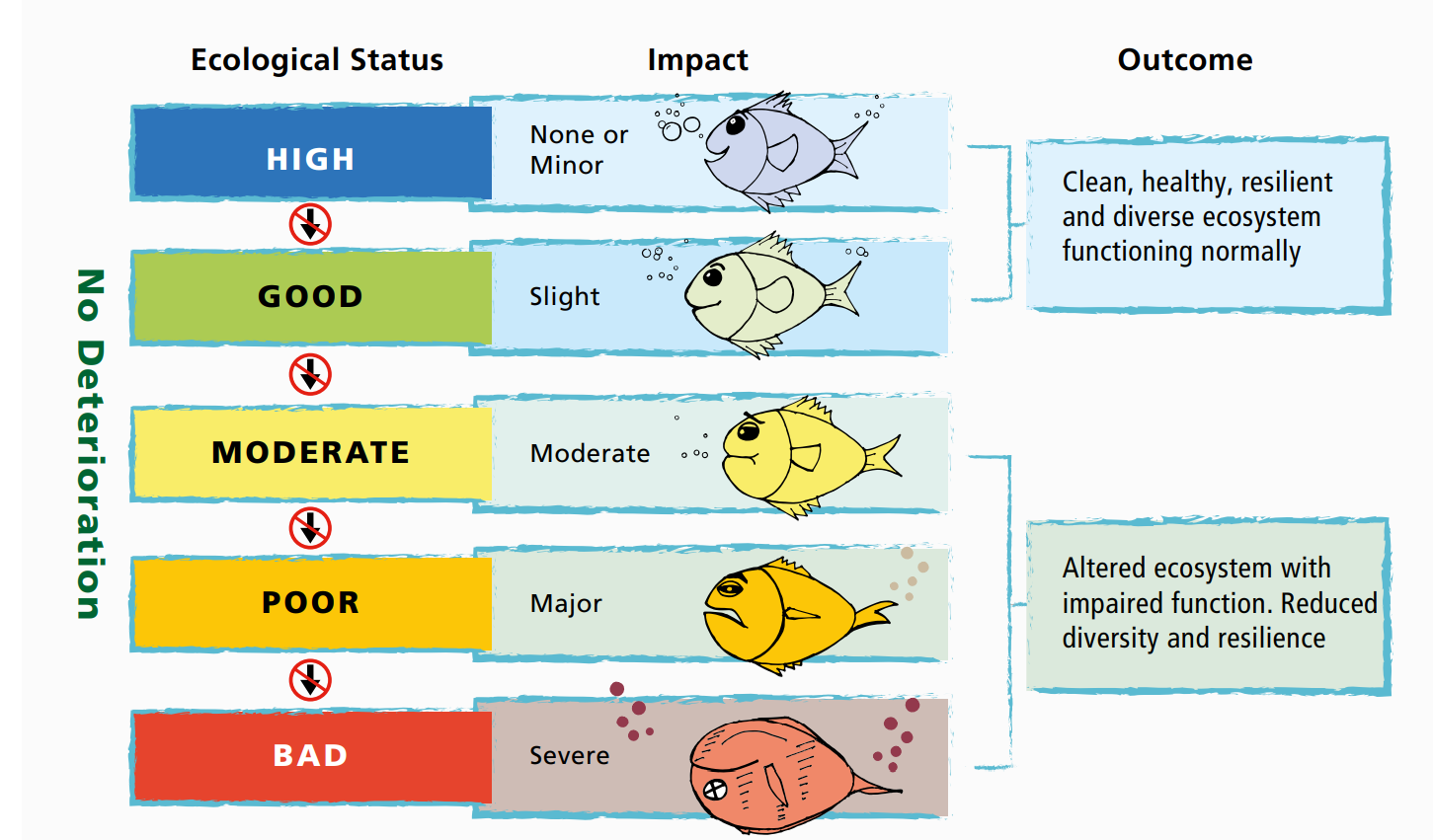 Water quality in Ireland 2016-2021: the quality of our rivers, lakes ...