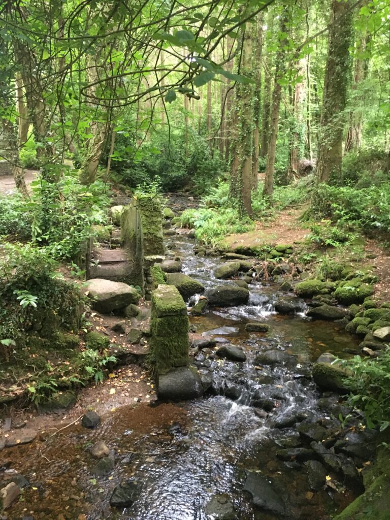 2024-01-22(27) - Catchments.ie - Catchments.ie